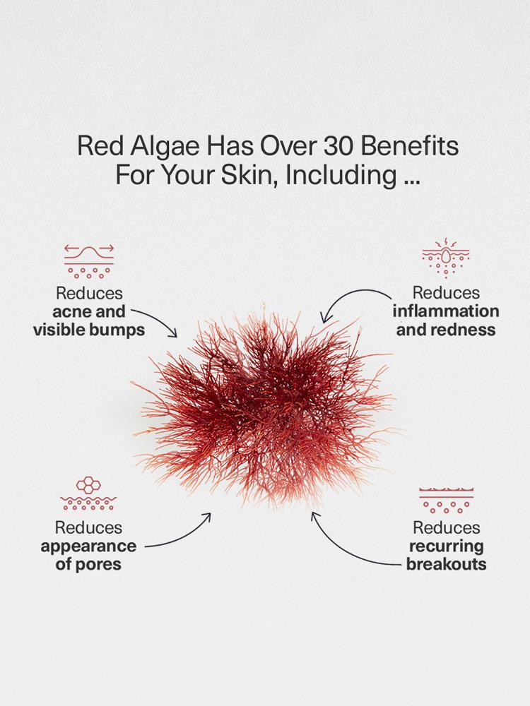 Red Algae skincare recovery & repair gel - Anti ageing cream – Seacra ...